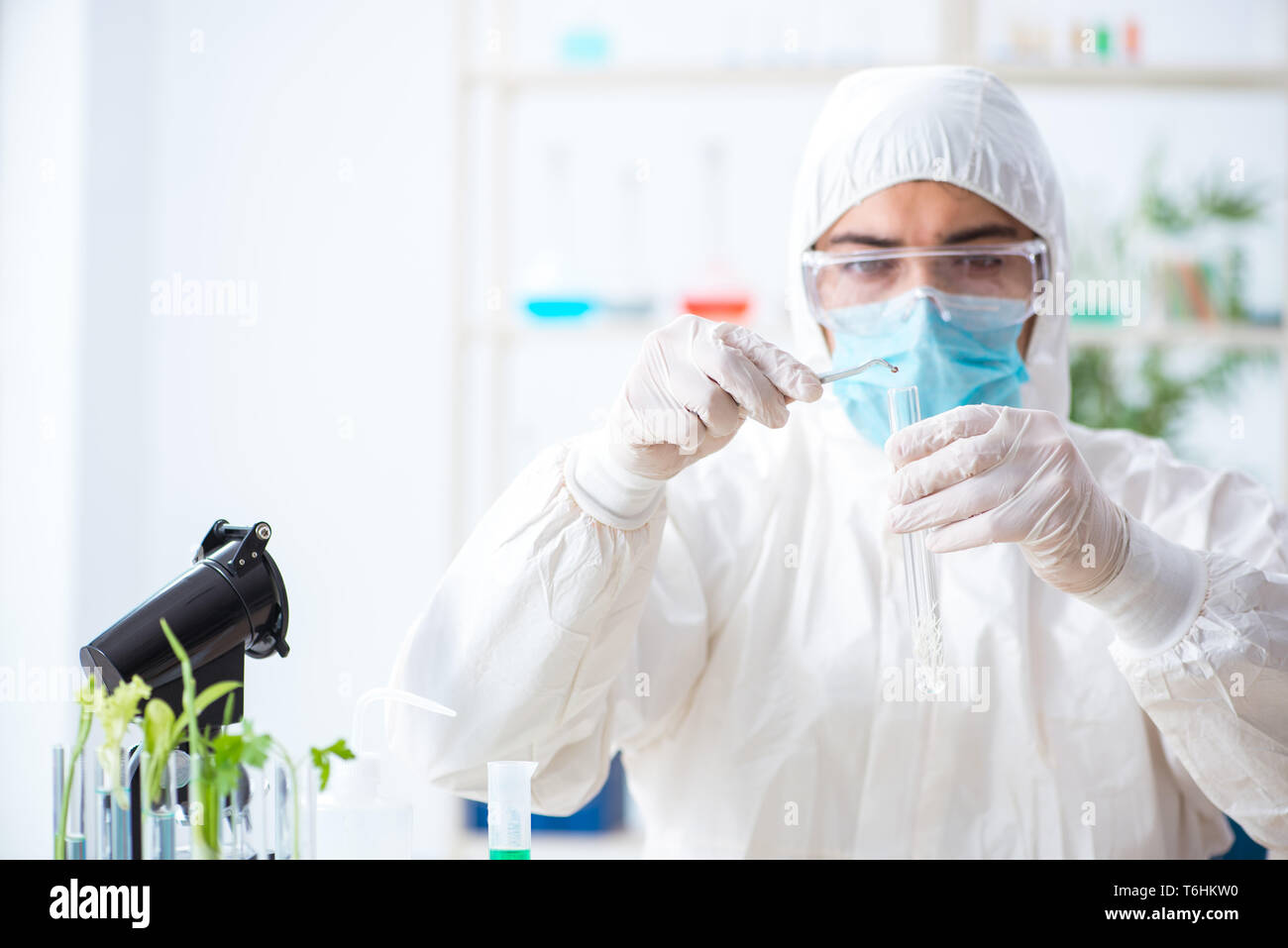 Biochemist work hi-res stock photography and images - Alamy