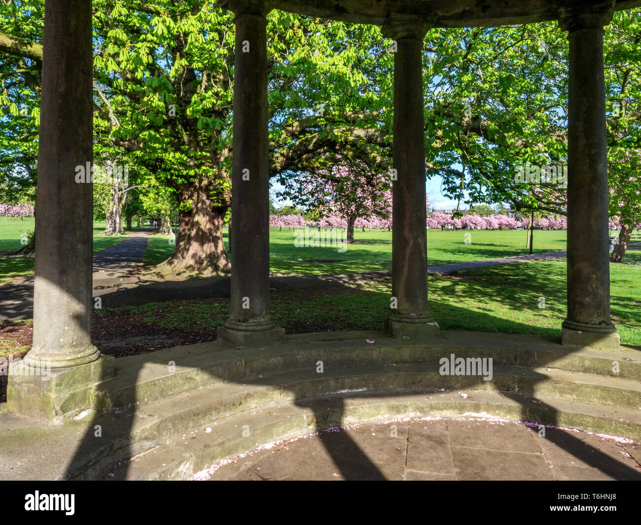 The stray harrogate spring hi-res stock photography and images - Alamy