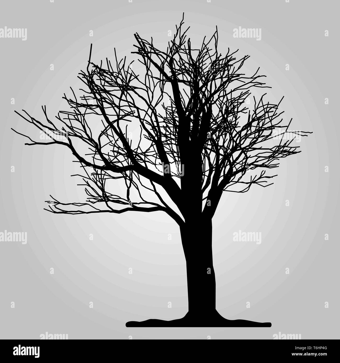 Tree icon. Forest symbol. Flat web sign on white background. Vector ...