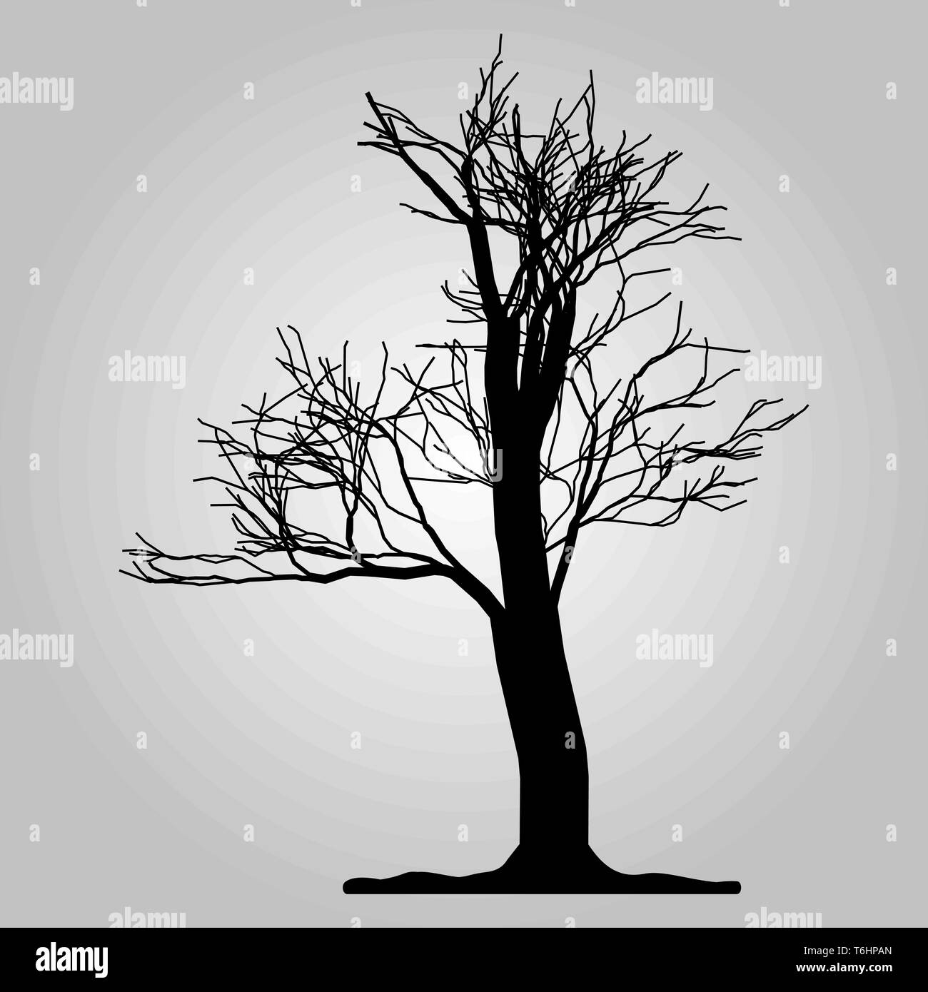 Tree icon. Forest symbol. Flat web sign on white background. Vector ...