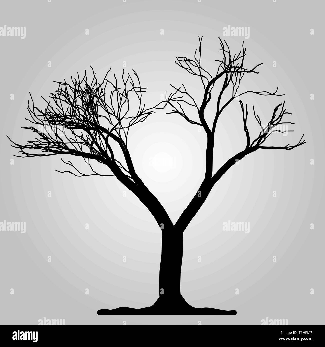Tree icon. Forest symbol. Flat web sign on white background. Vector ...