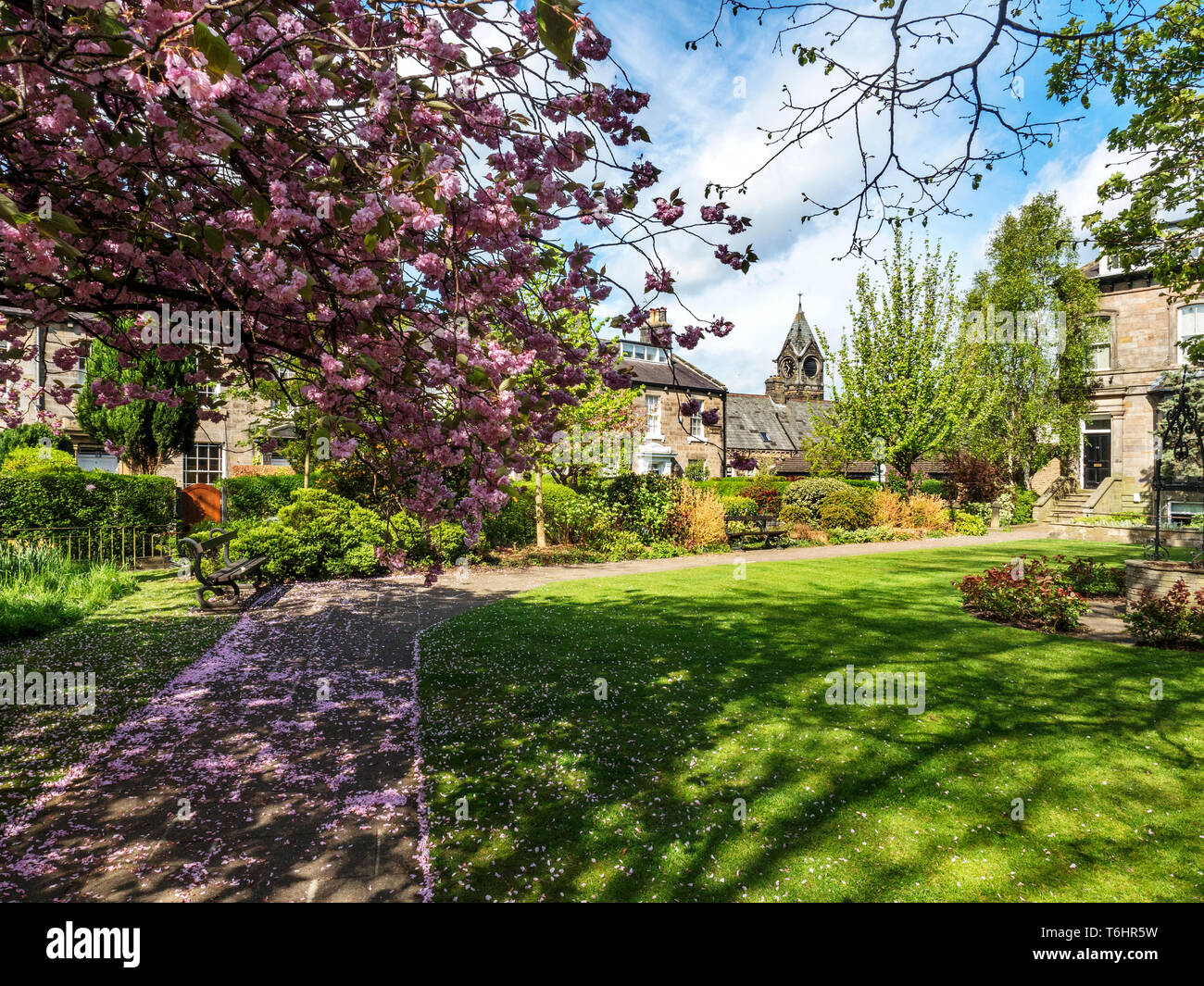 Albert terrace harrogate hi-res stock photography and images - Alamy