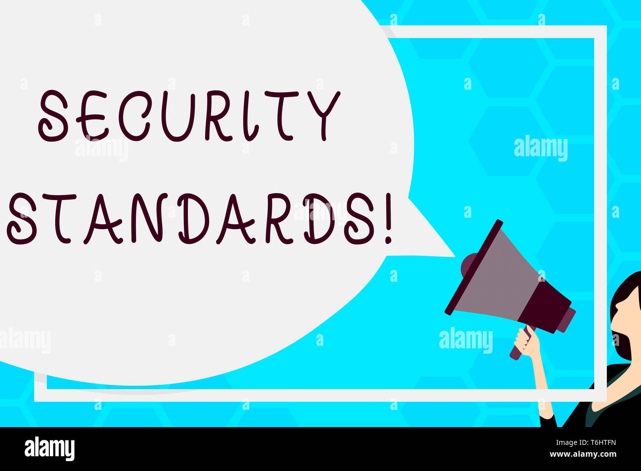 Text Sign Showing Security Standards Business Photo Text The Scope Of Security Functions And