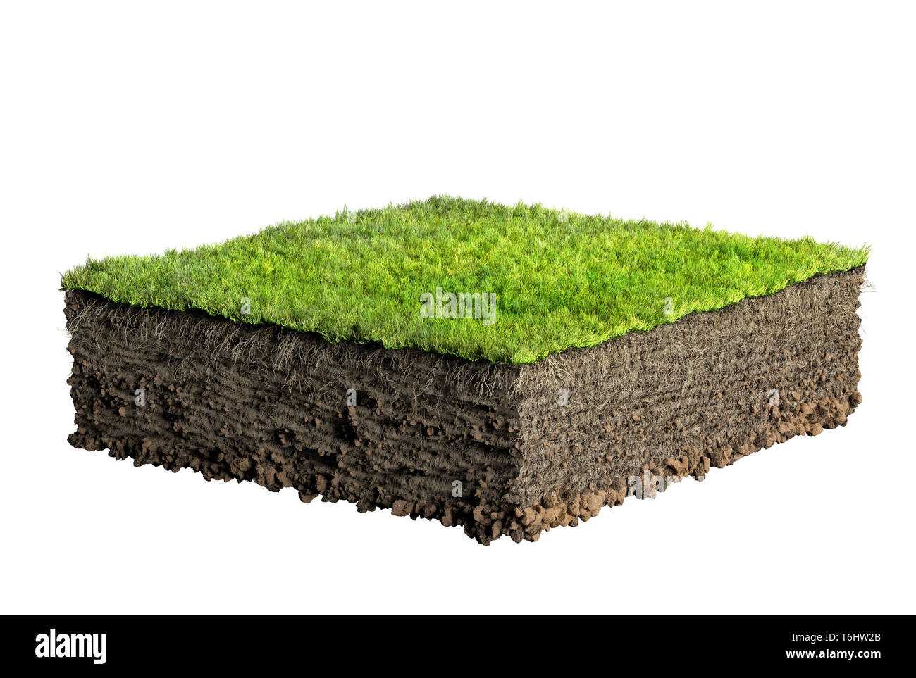 Soil profile hi-res stock photography and images - Alamy