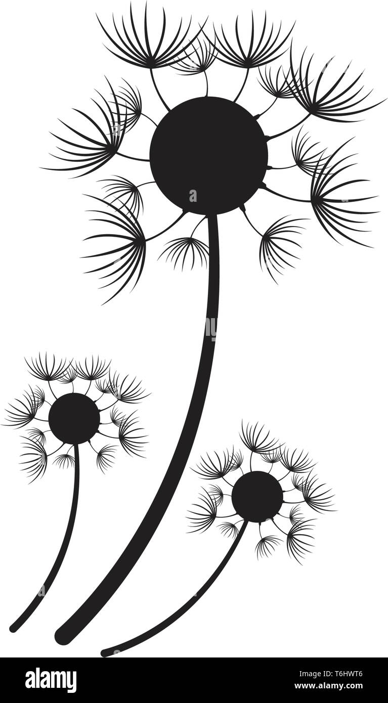 Dandelion vector illustration design Stock Vector Image & Art - Alamy