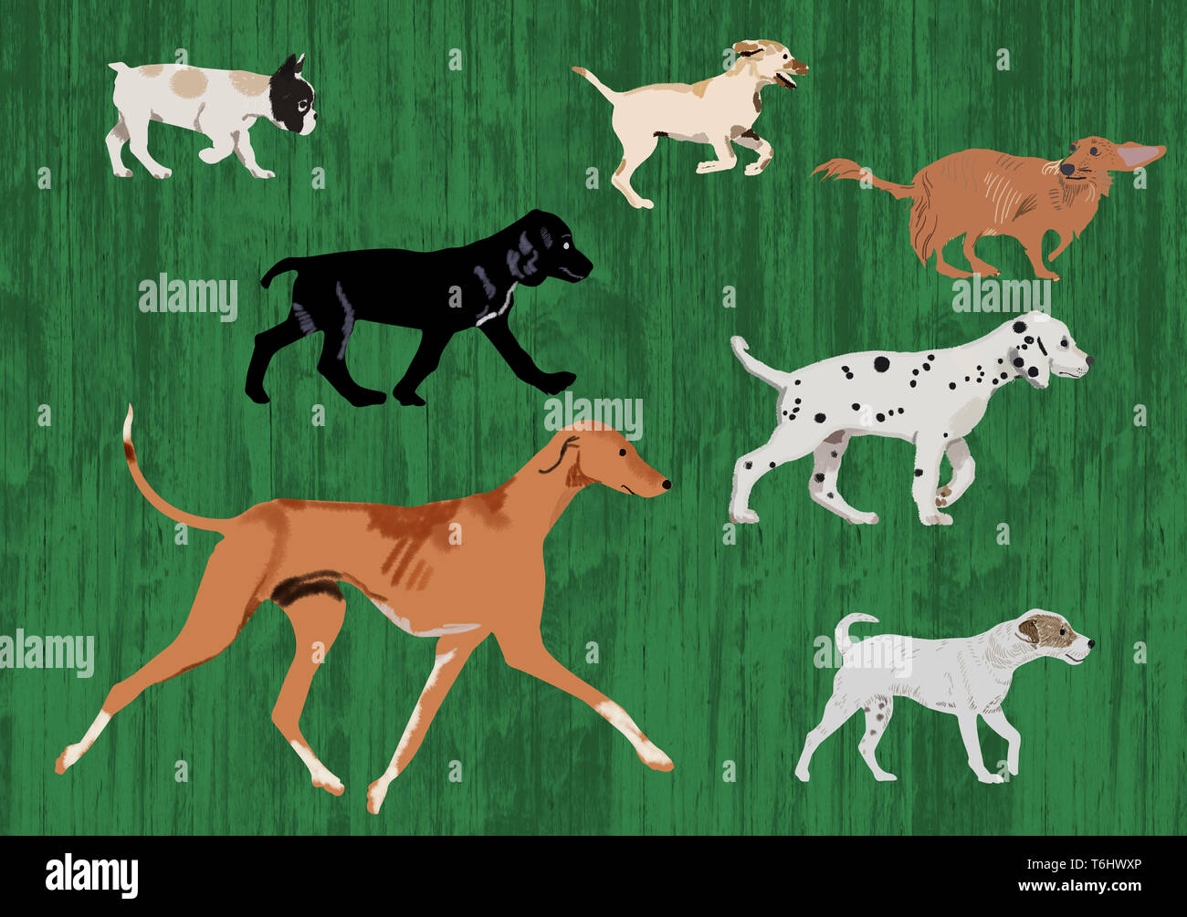 Dog pack breeds hi-res stock photography and images - Alamy