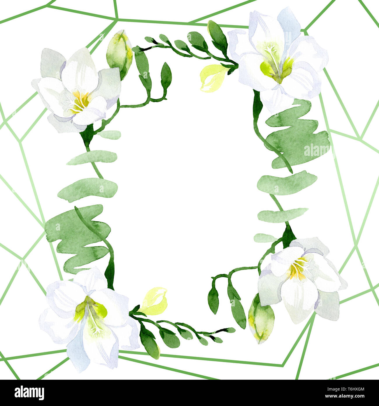 White Freesia Flowers