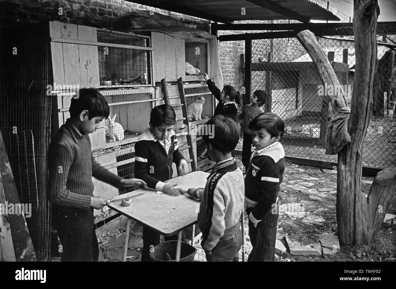 1970s farm hi-res stock photography and images - Alamy