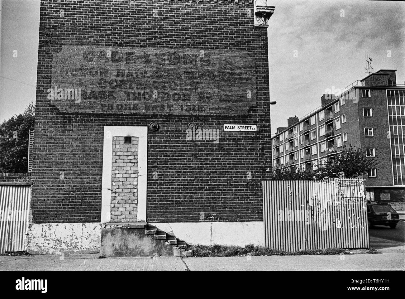 London palm hi-res stock photography and images - Alamy