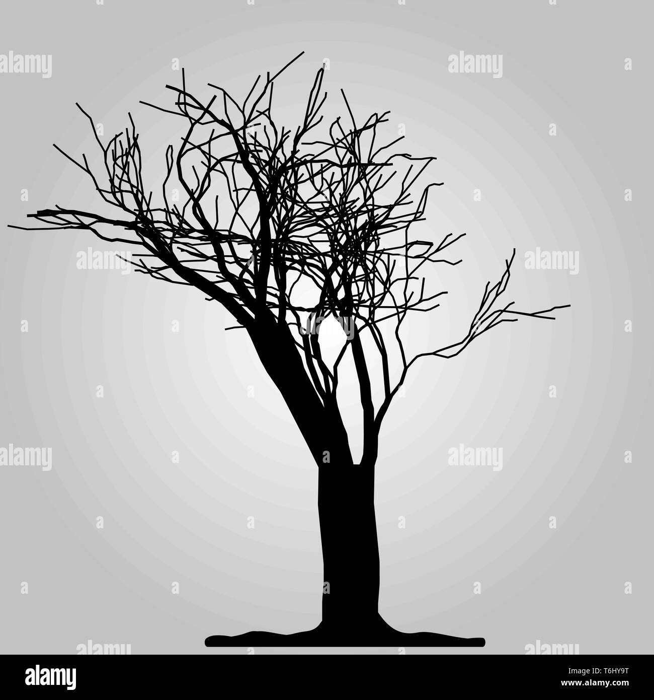 Tree icon. Forest symbol. Flat web sign on white background. Vector ...