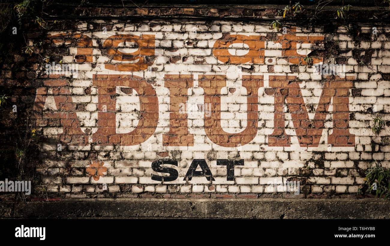 Wimbledon Greyhound Stadium, the last chance to see before it was ...