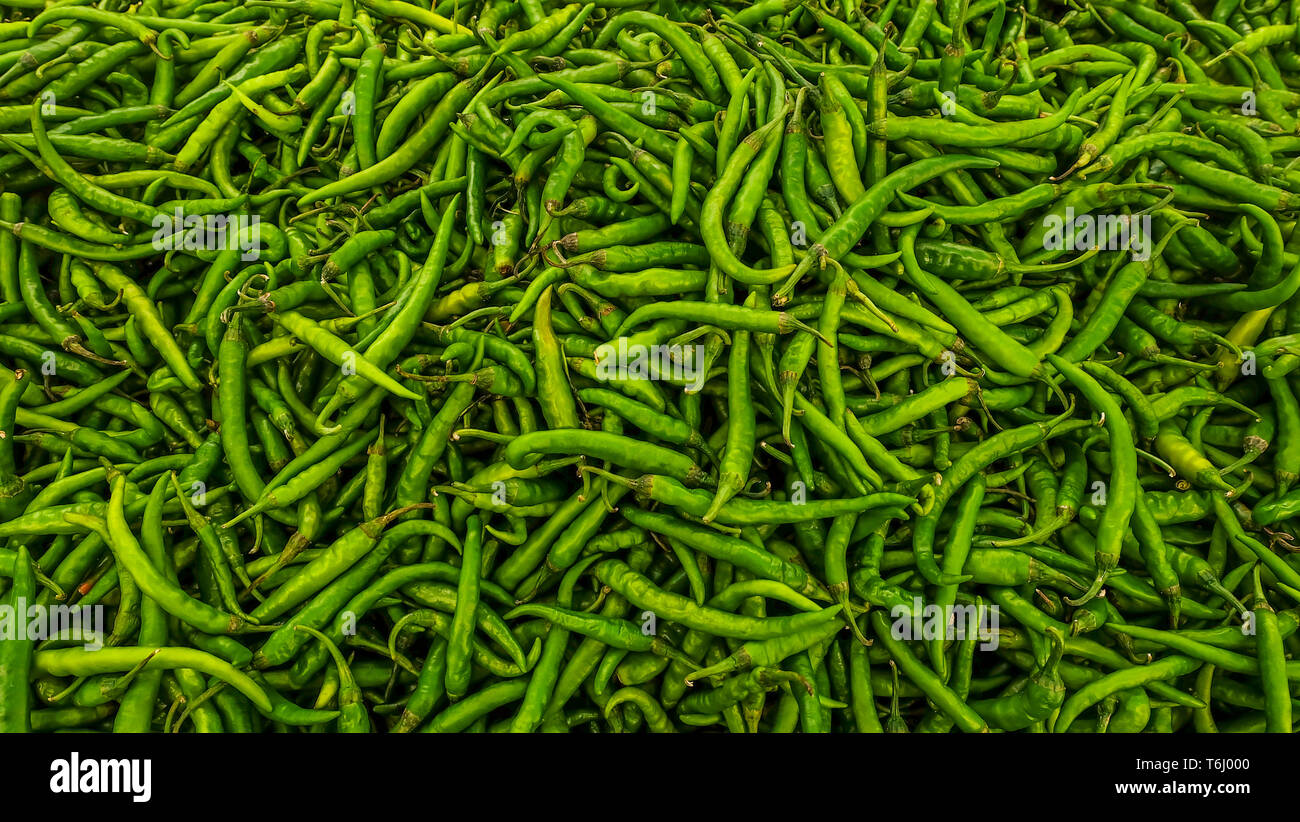 Pile of Green chilli peppers in Indian market Stock Photo - Alamy