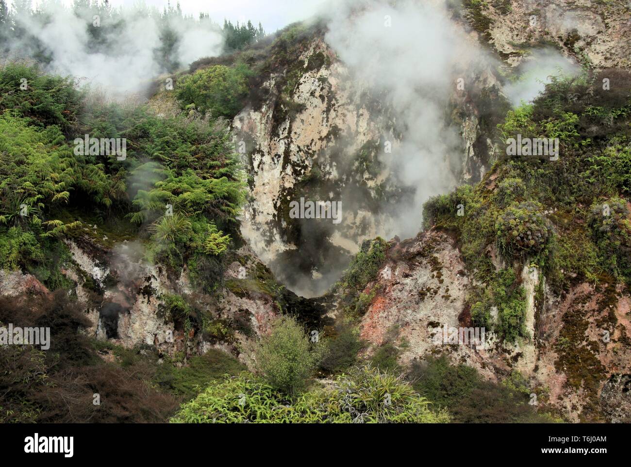 Orakei Korako hidden geothermal valley: View on steaming rocks ...