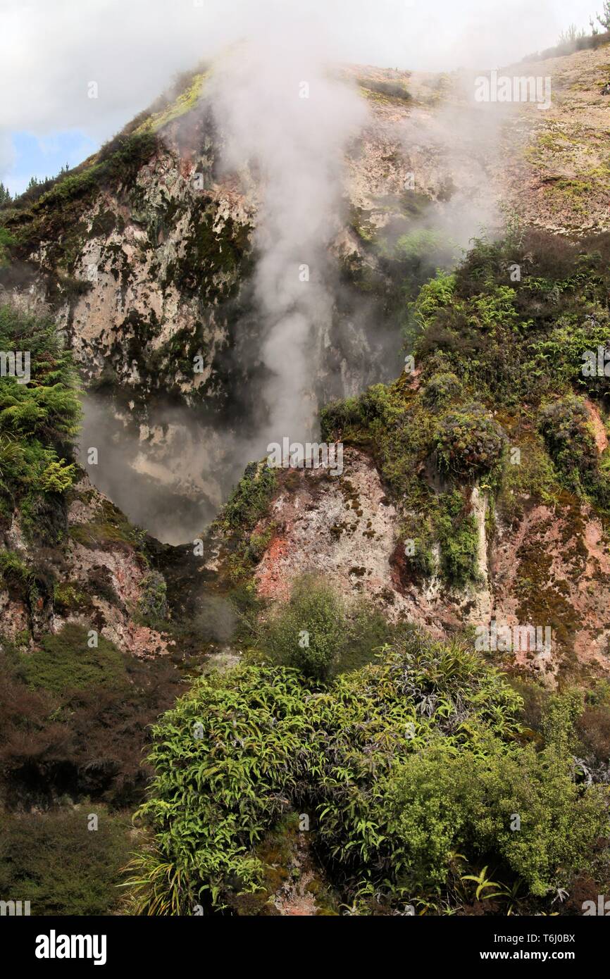 Orakei Korako hidden geothermal valley: View on steaming rocks ...