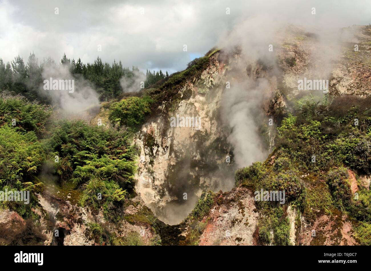 Orakei Korako hidden geothermal valley: View on steaming rocks ...