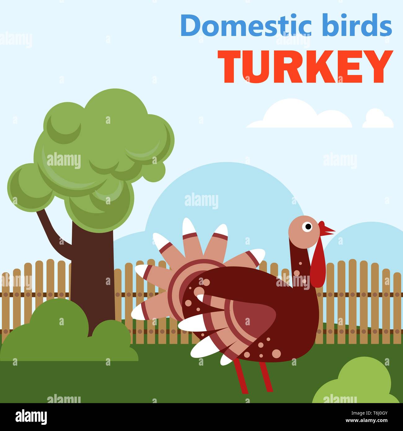 The Domestic bird turkey on peaceful meadow with grass and tree ...