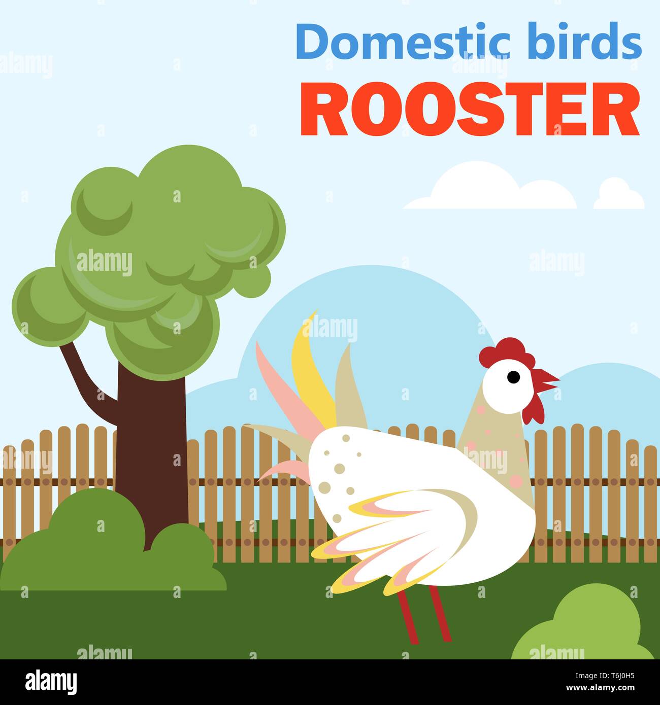 The Domestic bird rooster on peaceful meadow with grass and tree ...