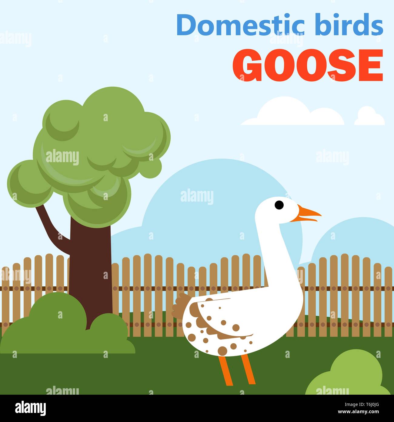 Flashcard words hi-res stock photography and images - Alamy