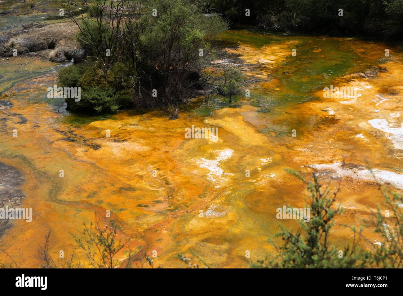Orakei Korako hidden geothermal park: View on hot pool with yellow ...