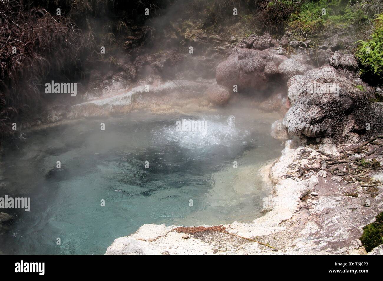 Orakei Korako hidden geothermal valley: View on splashing and bubbling ...