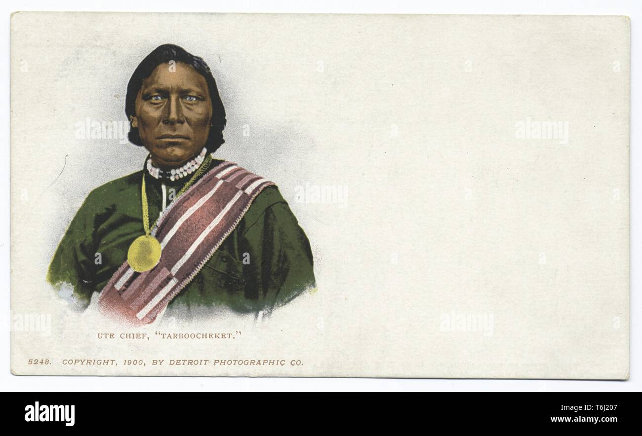 Detroit Publishing Company vintage postcard of the Ute Chief ...