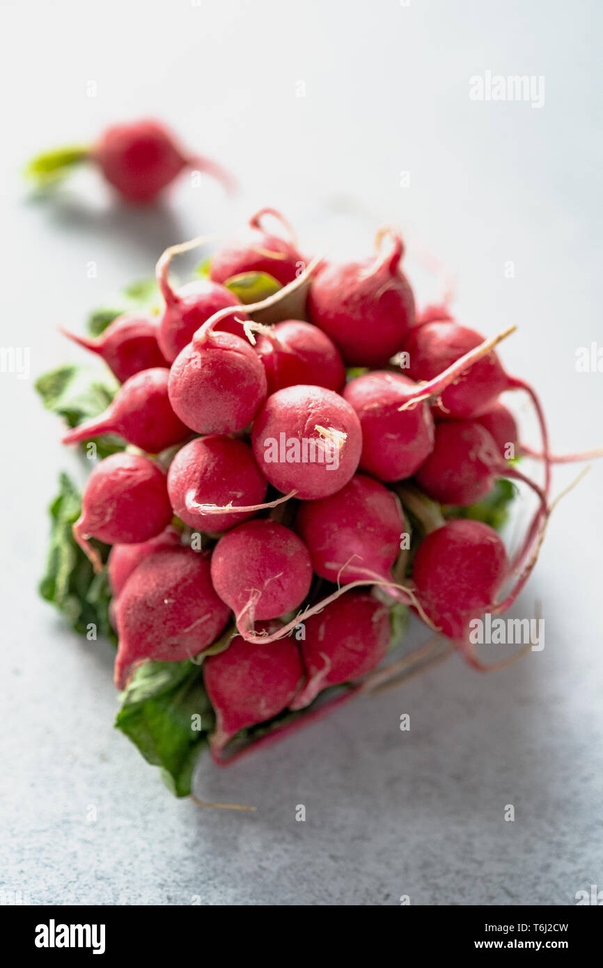 Radishes with salt hi-res stock photography and images - Alamy