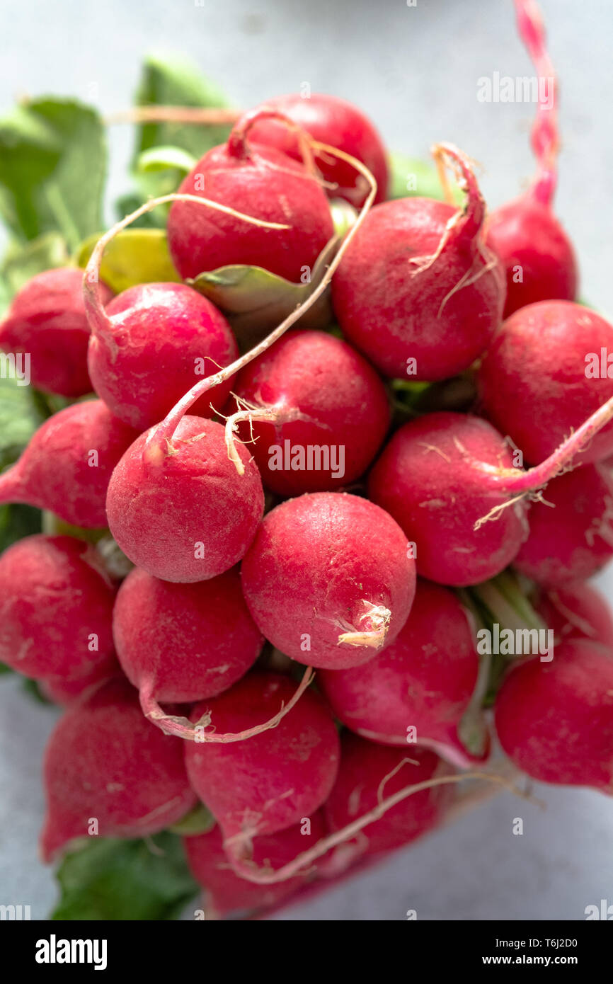 Radishes with butter hi-res stock photography and images - Alamy