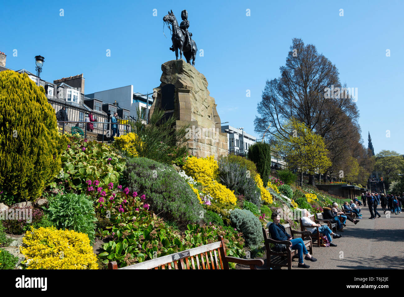 Spring flowers scotland hi-res stock photography and images - Alamy