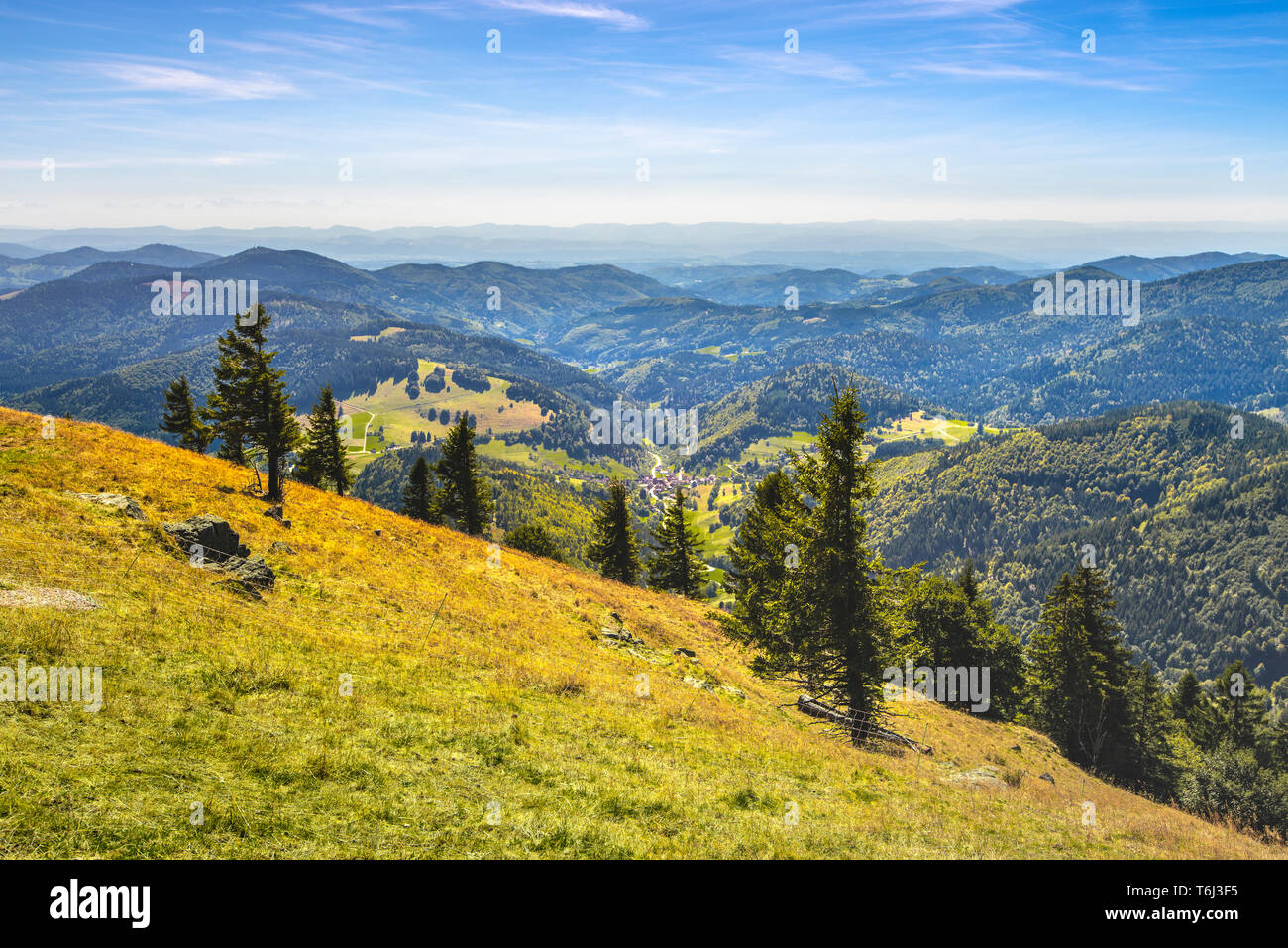 panorama on the hilltop of the mountain Belchen, High Black Forest ...