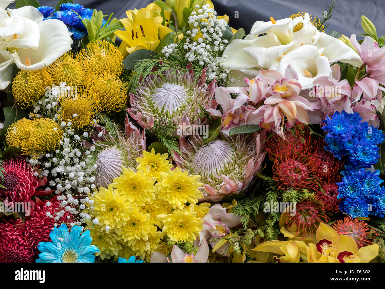 Beauty floristic decoration with colorful tropical flowers Stock Photo ...