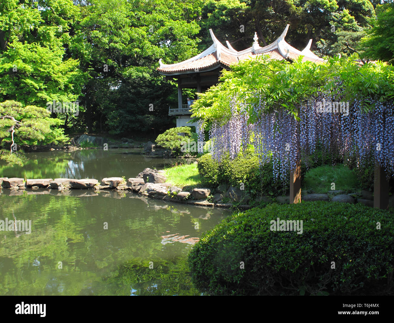 Shinjuku Gyoen National Garden in Tokyo Stock Photo - Alamy