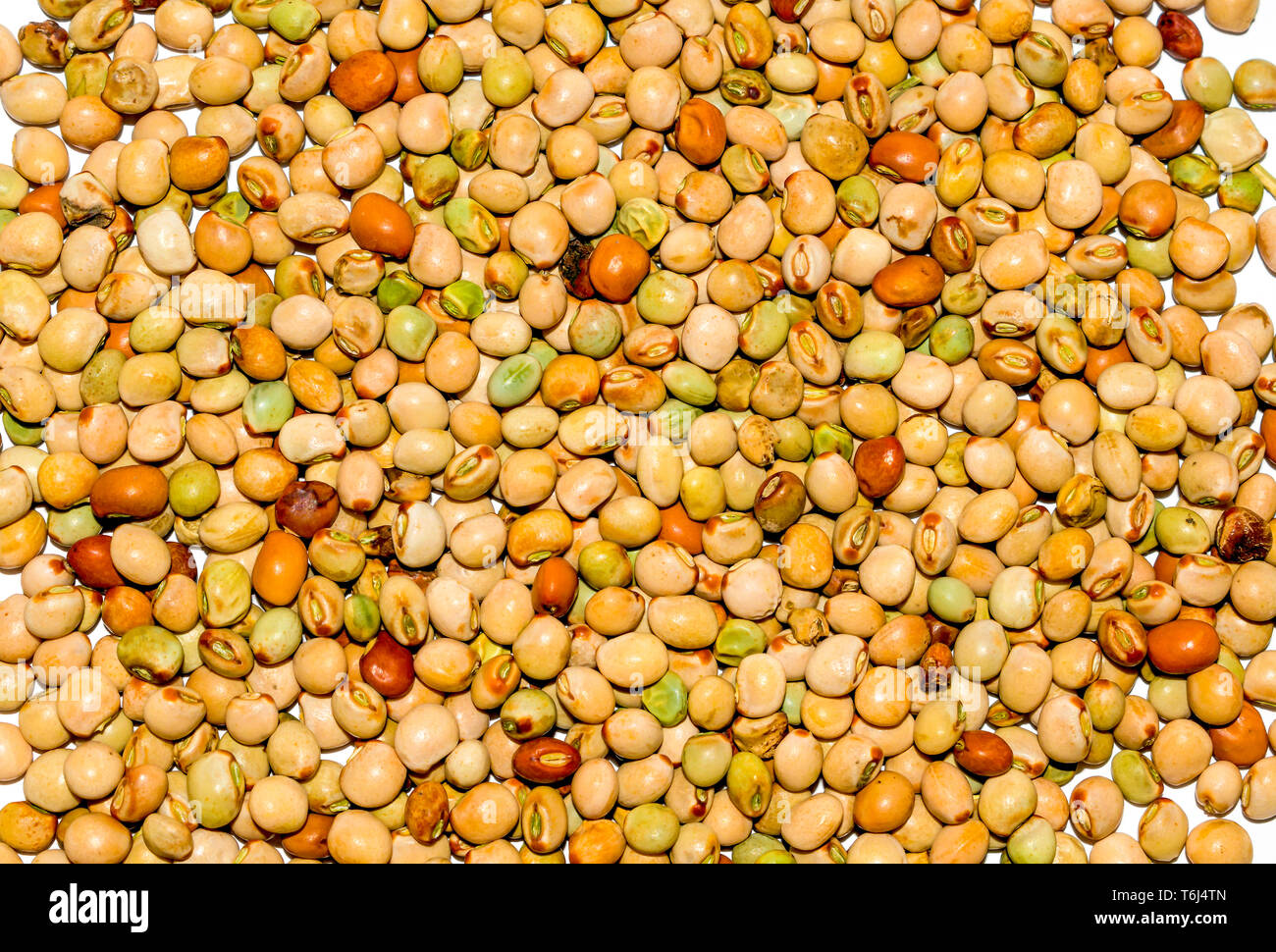 Variety of kidney bean hi-res stock photography and images - Alamy