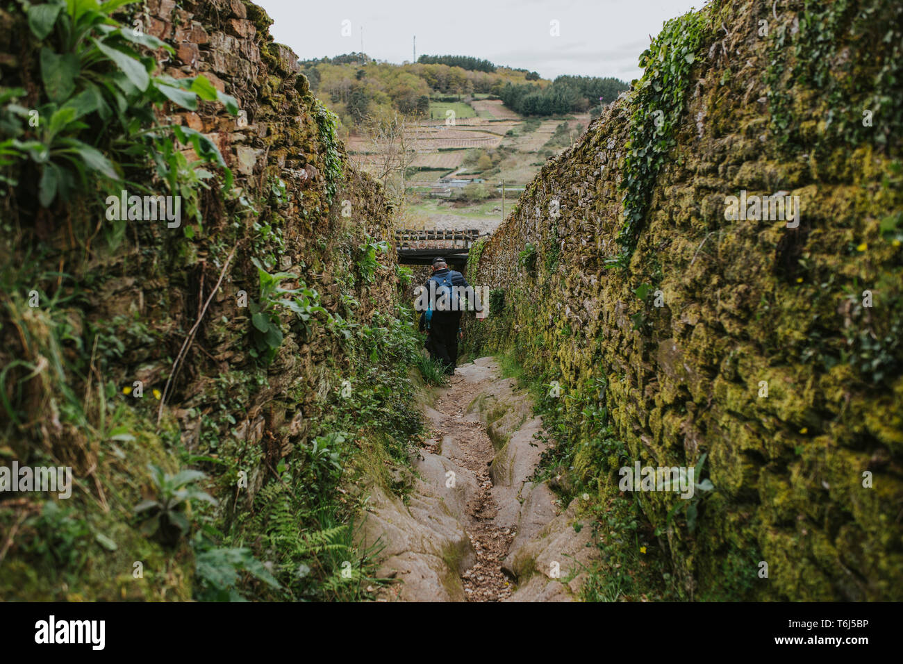 Man walking by a difficult path during a trekking journey in a green ...