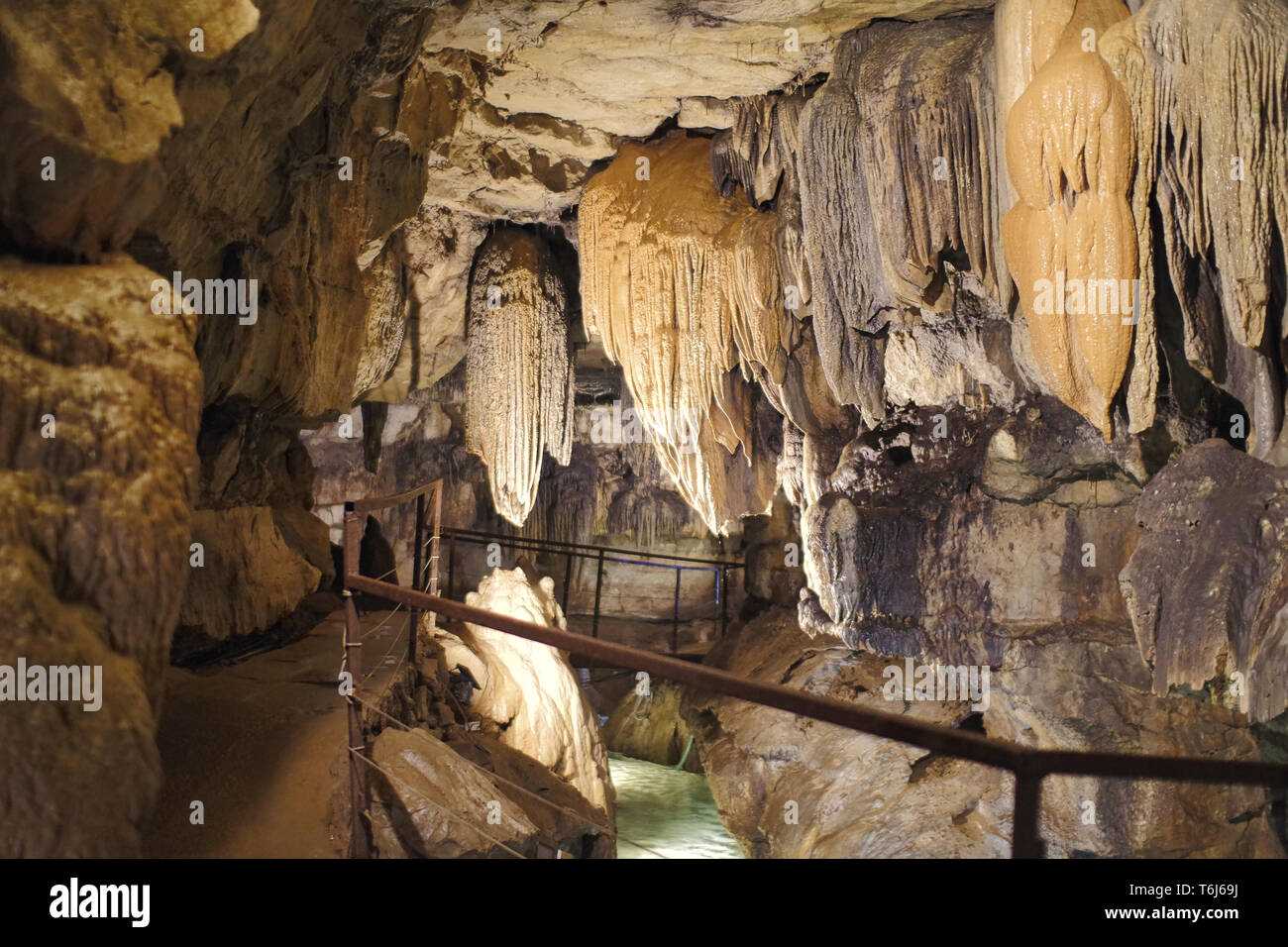 Hanging from cave hi-res stock photography and images - Alamy