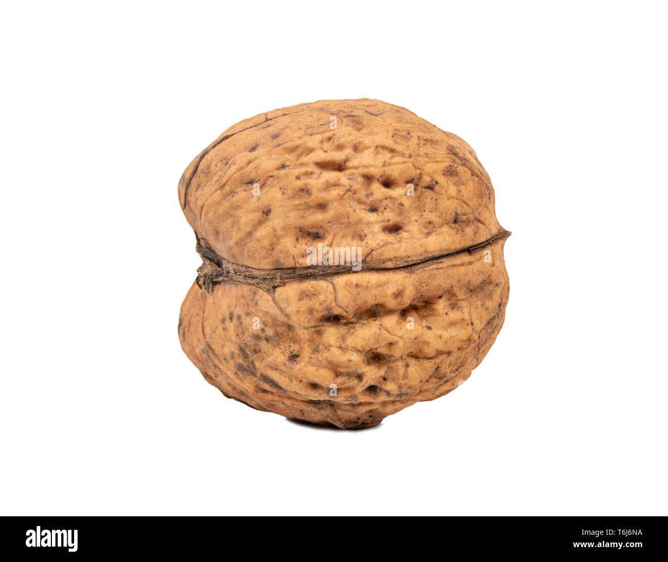 Dry large walnut isolated on white background Stock Photo - Alamy