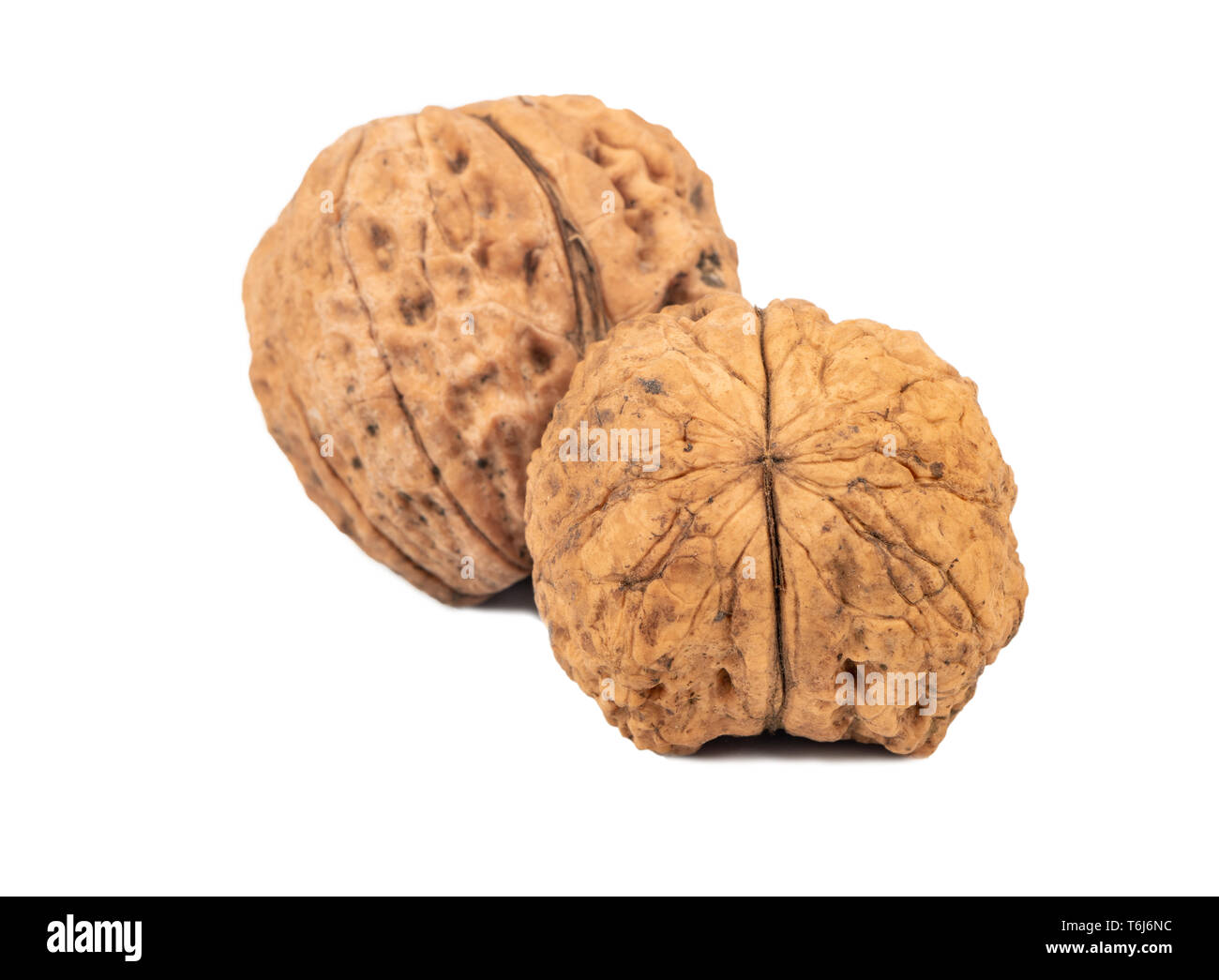 Two dry large walnuts on white background Stock Photo - Alamy