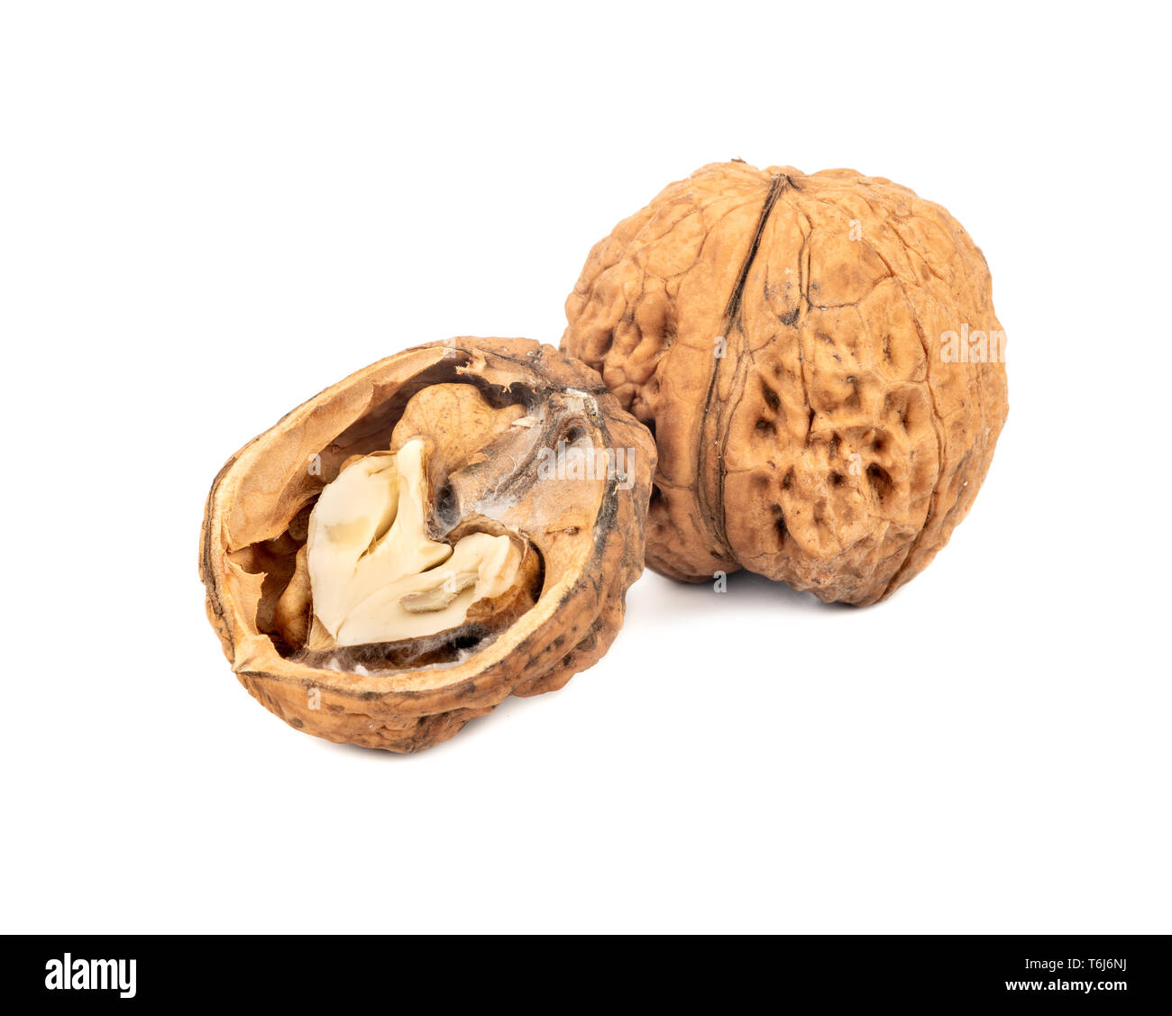 Dry walnut with half isolated on white background Stock Photo - Alamy