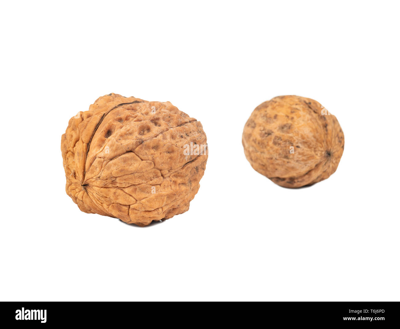 Large and small walnut isolated on white background Stock Photo - Alamy