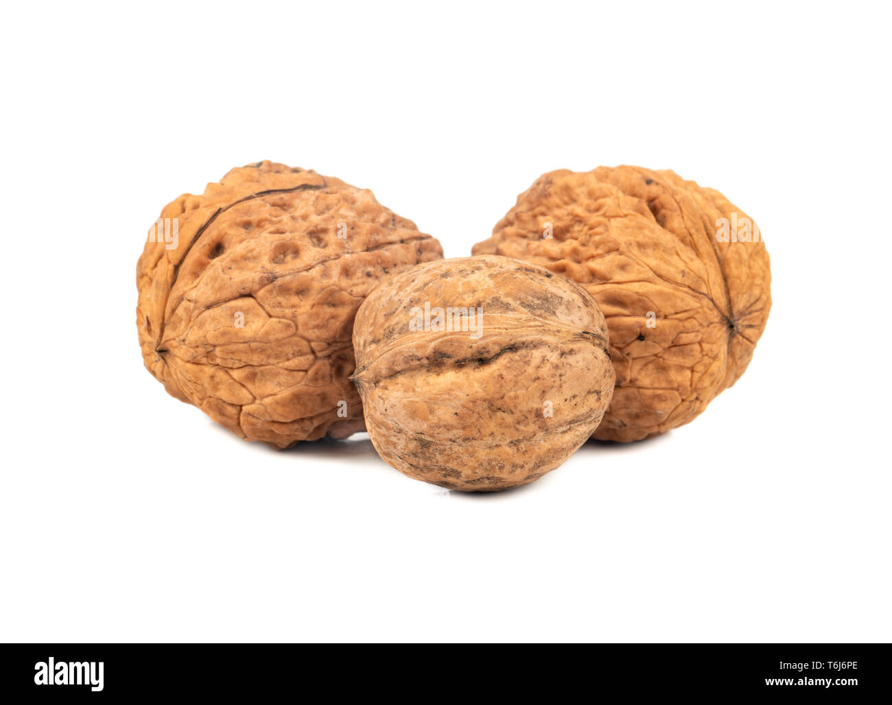 Three dry walnuts on white background closeup Stock Photo - Alamy
