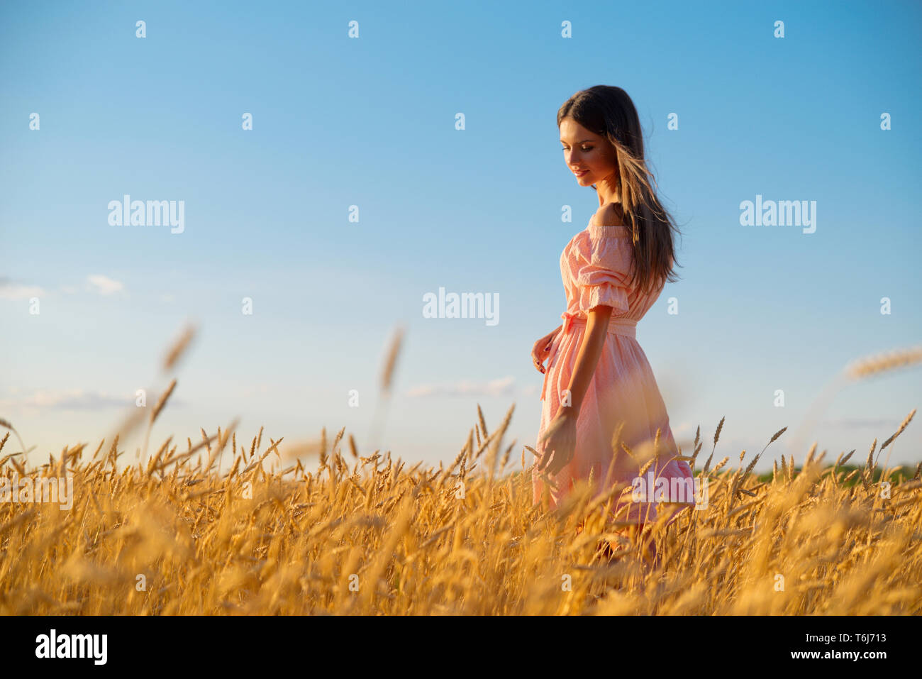 Woman sunset field hi-res stock photography and images - Alamy