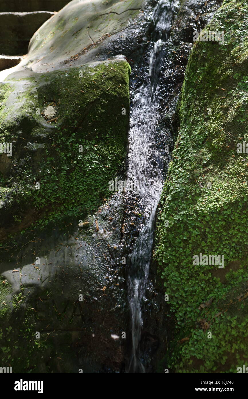 Beautiful mountain gorge. Rocks covered with moss Stock Photo - Alamy