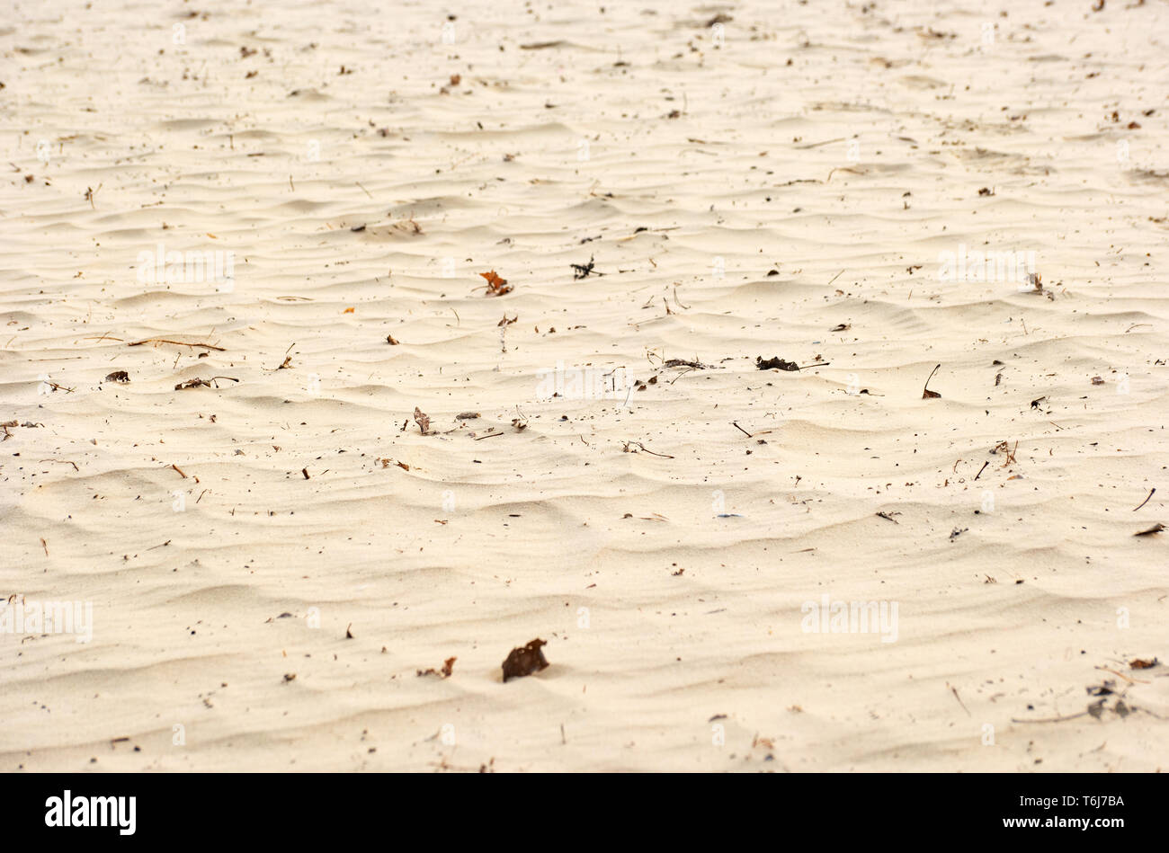 Dirty sand hi-res stock photography and images - Alamy