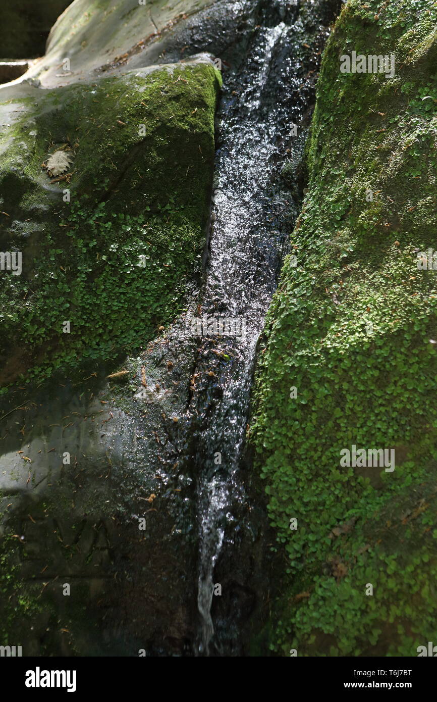 Beautiful mountain gorge. Rocks covered with moss Stock Photo - Alamy