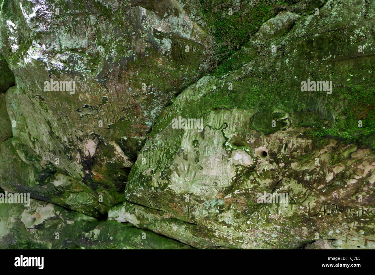 Beautiful mountain gorge. Rocks covered with moss Stock Photo - Alamy