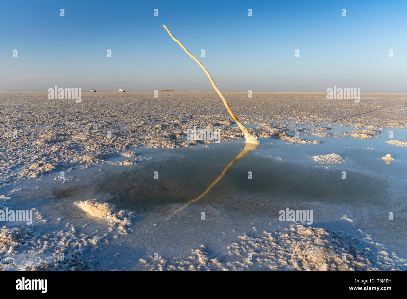 Bubbling pond in the salt plains of Asale Lake in the Danakil ...