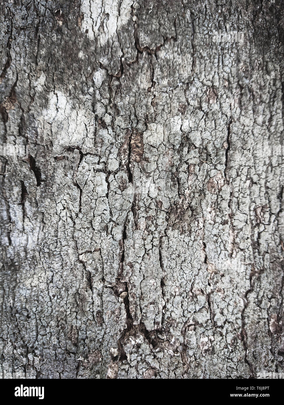 Rough texture hi-res stock photography and images - Alamy