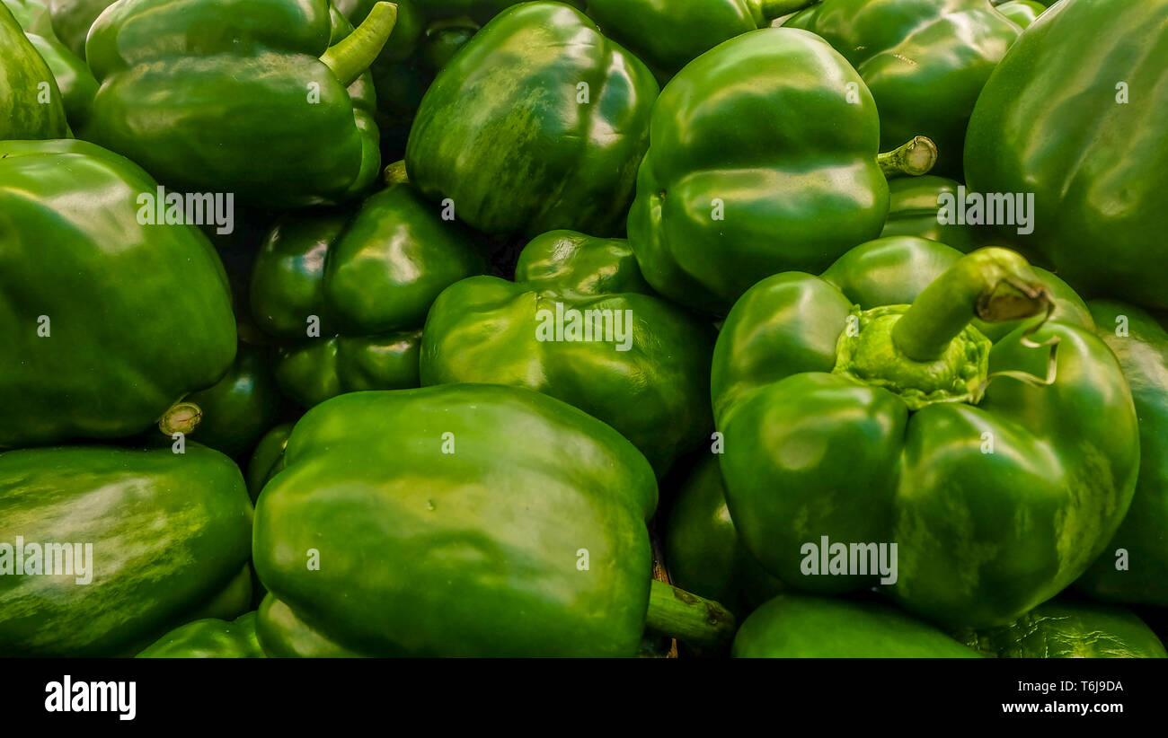 Picture of sweet green pepper (green Capsicum) In the market Stock ...