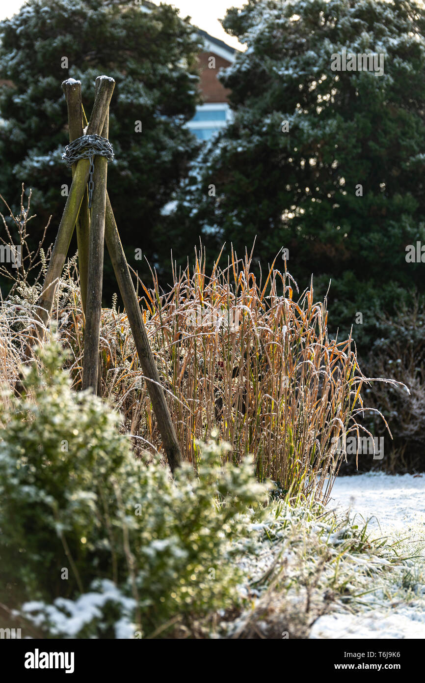 Structural planting hi-res stock photography and images - Alamy