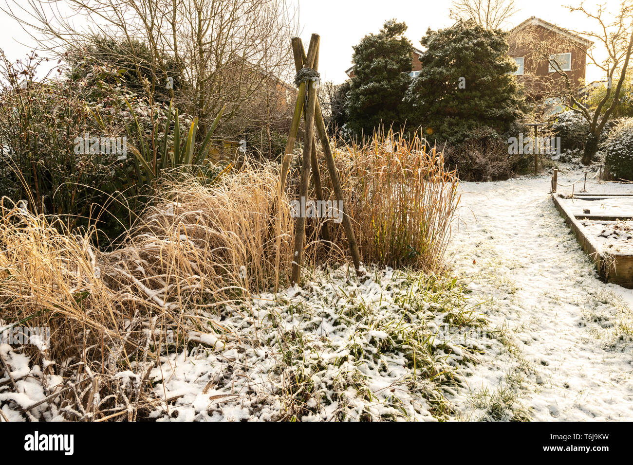 Structural planting hi-res stock photography and images - Alamy