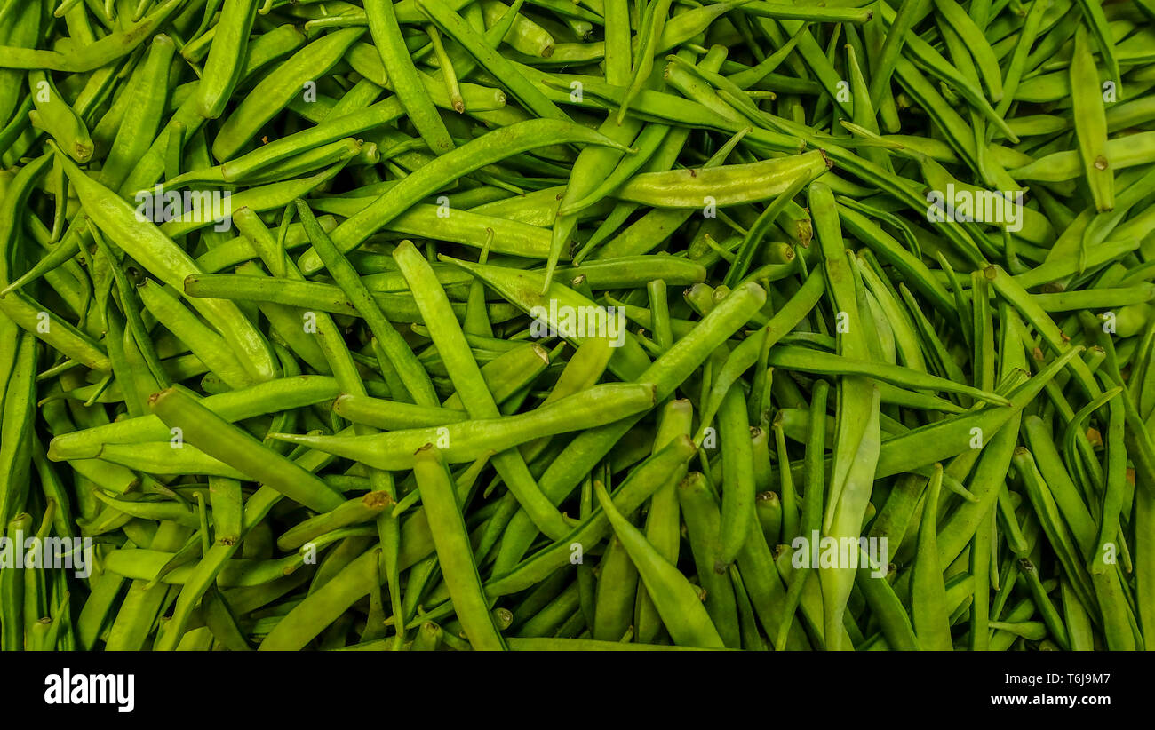 Guar or Cluster Bean Also Known as Gavar, Guwar or Guvar Bean suitable ...